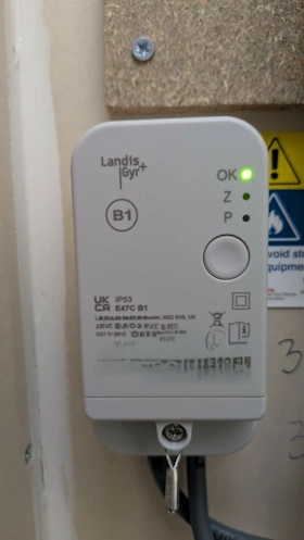 The Smart Meter Home Area Network and developments